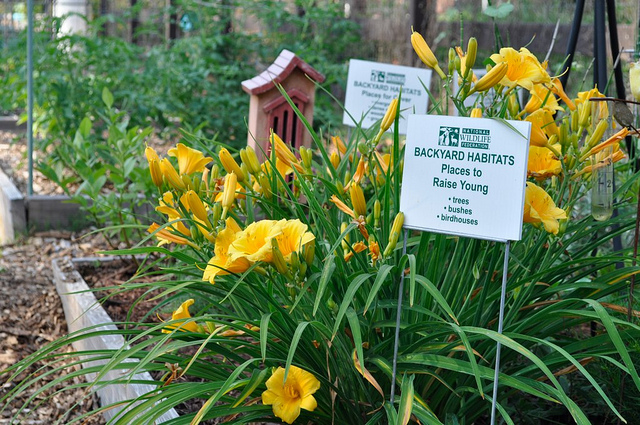 Community Profile - Community Wildlife Habitats