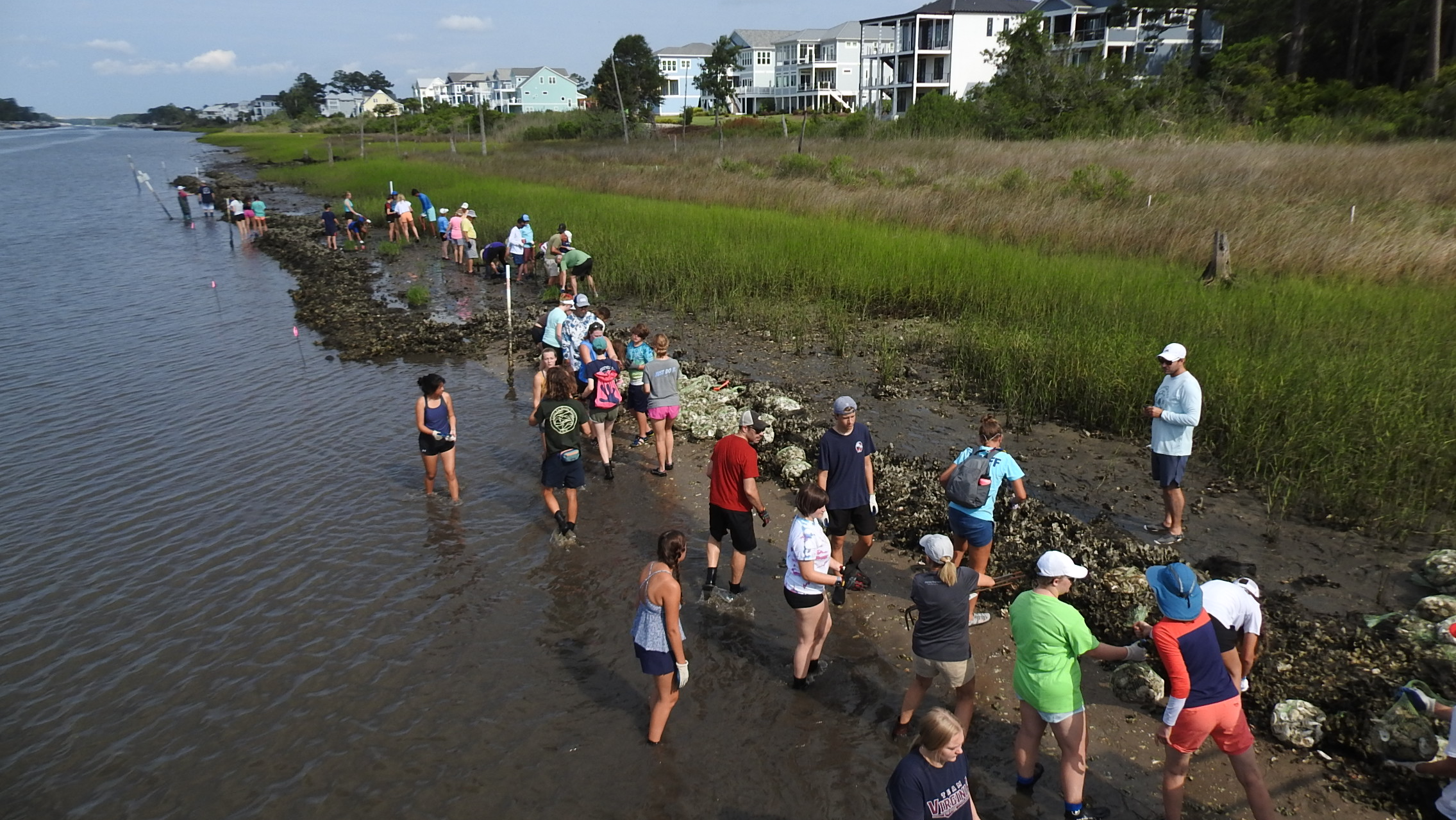 Community Profile - Community Wildlife Habitat
